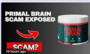 PrimalBrain Reviews (2026): Is PrimalBrain Legit or Another Overhyped ...